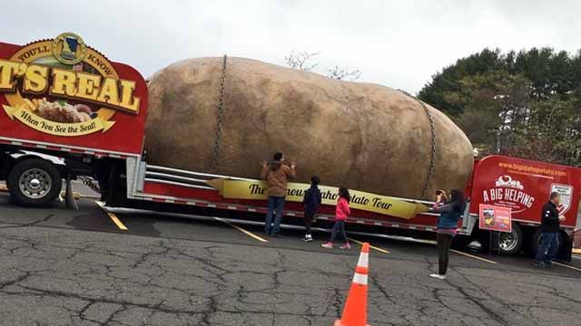 World's largest manufactured potato spotted in CT - CBS 5 - KPHO